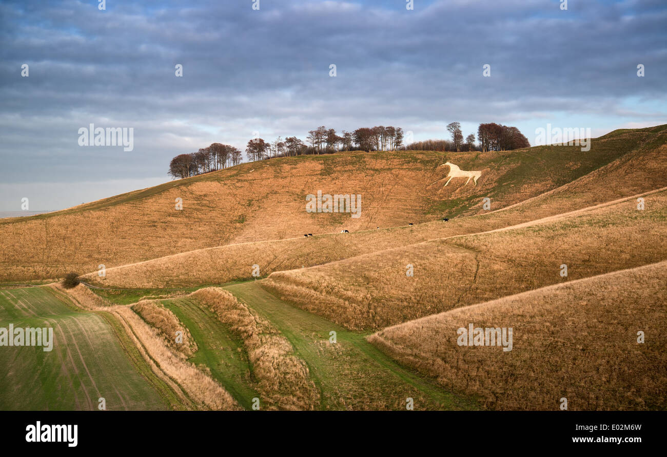 Beautiful landscape of ancient chalk white horse in hill at Cherhill in ...