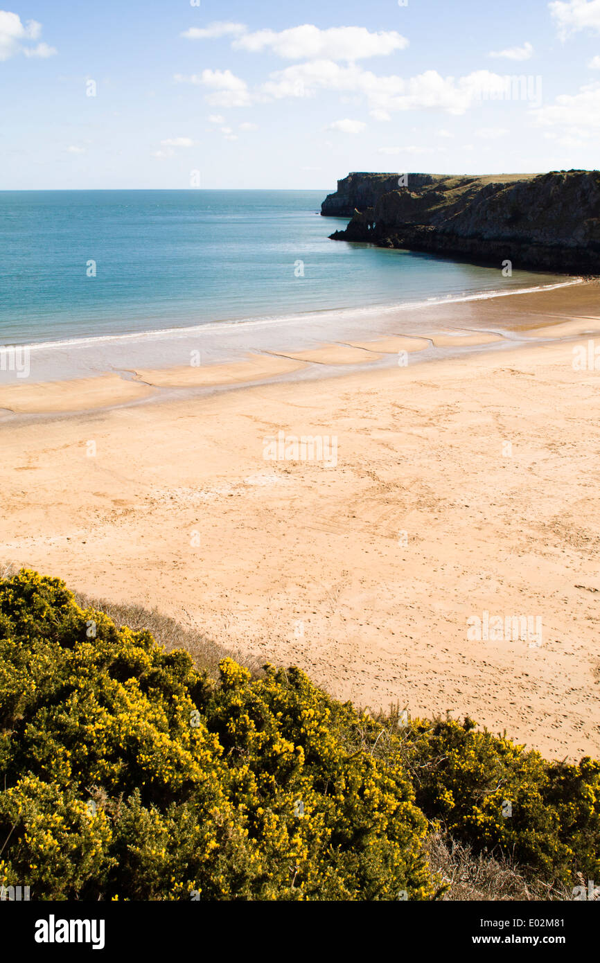 Barafundle Bay, Pembrokeshire, West Wales Stock Photo - Alamy