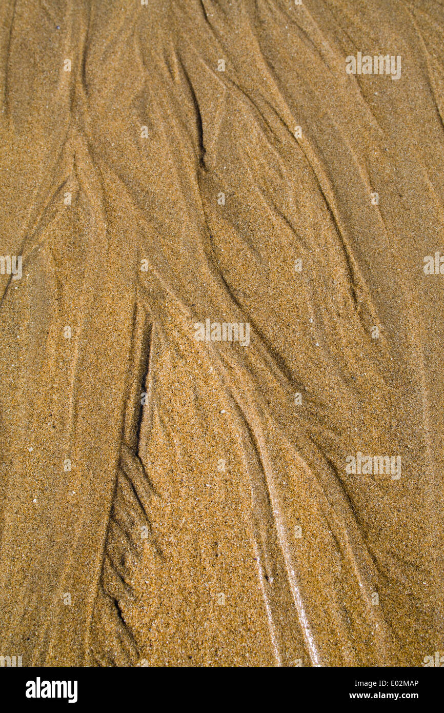 Branching patterns hi-res stock photography and images - Alamy