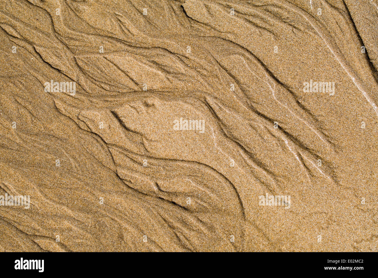 Natural patterns in the sand, Pembrokeshire, West Wales Stock Photo - Alamy