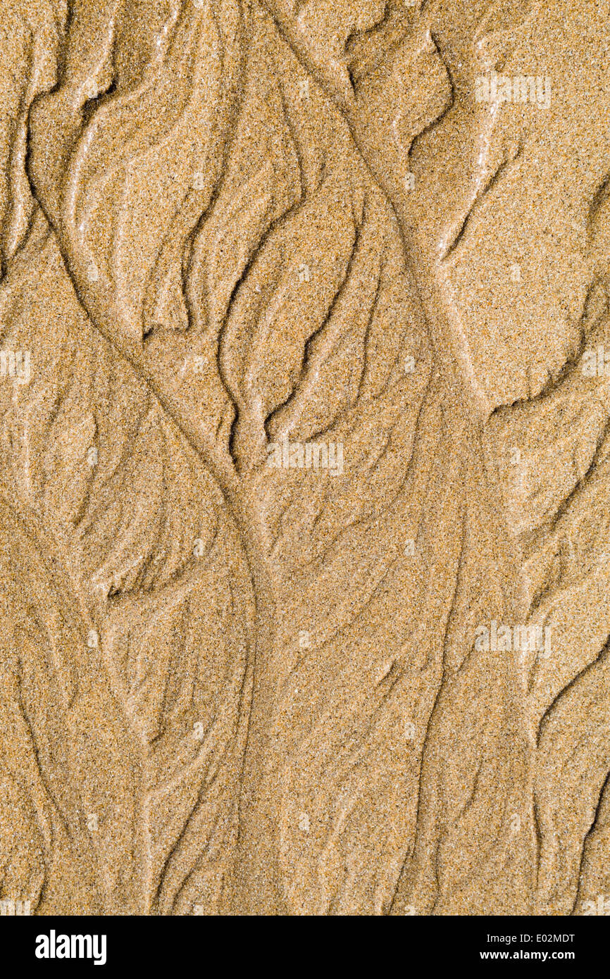 Natural patterns in the sand, Pembrokeshire, West Wales Stock Photo - Alamy