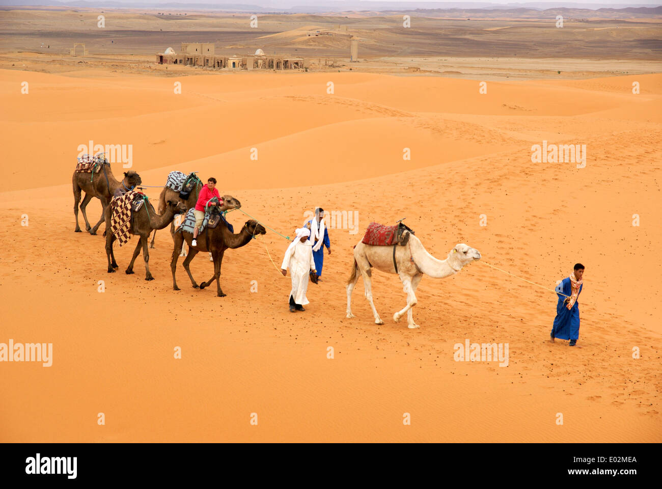 Berber people camels hi-res stock photography and images - Alamy