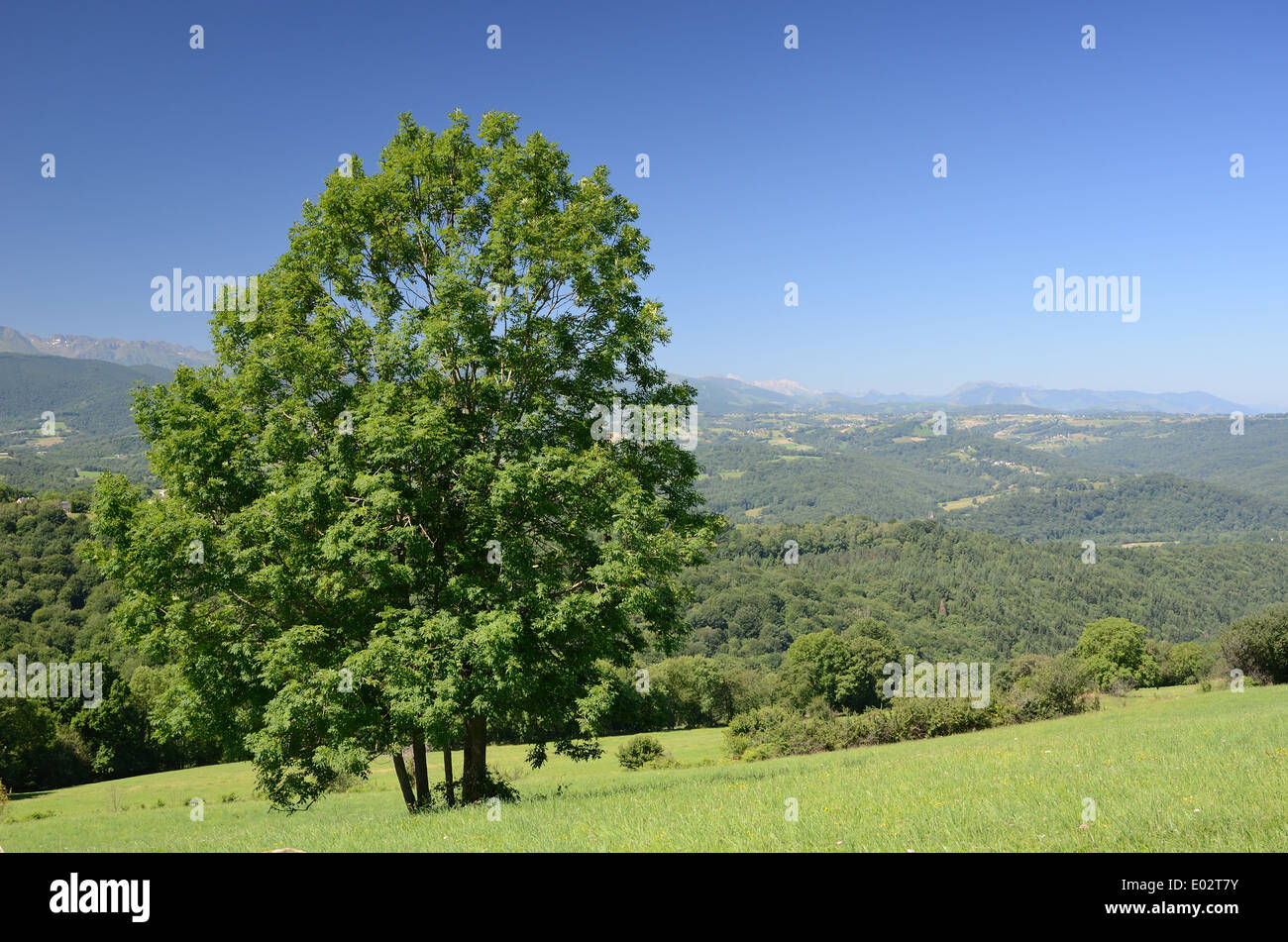 Foothills of pyrenees hi-res stock photography and images - Alamy