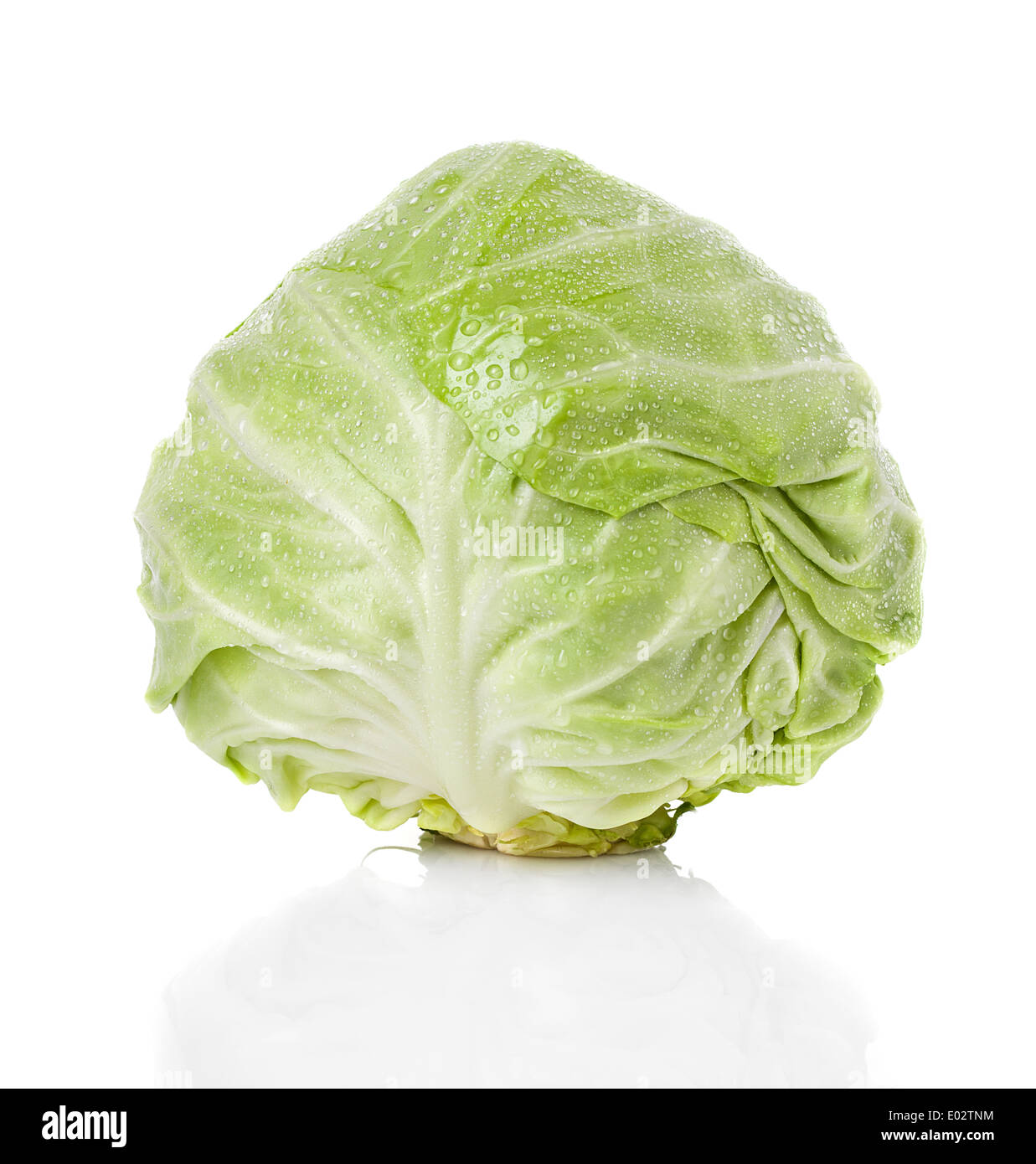 cabbage close-up isolated on white background Stock Photo - Alamy