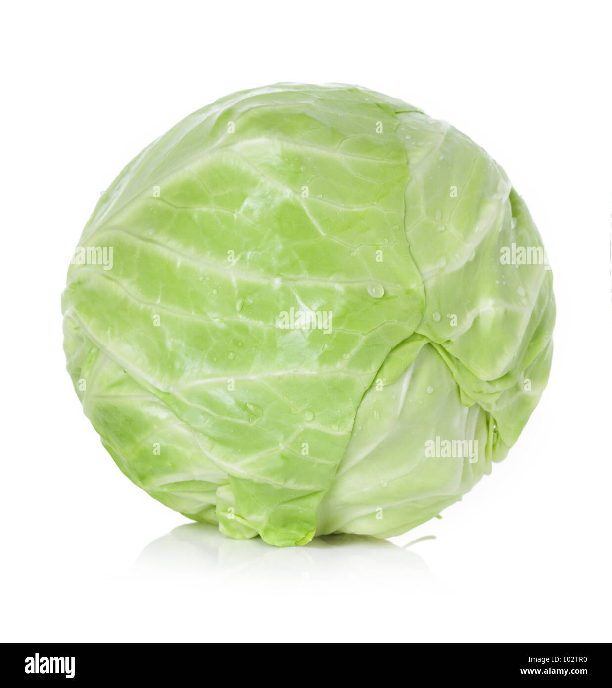 cabbage close-up isolated on white background Stock Photo - Alamy