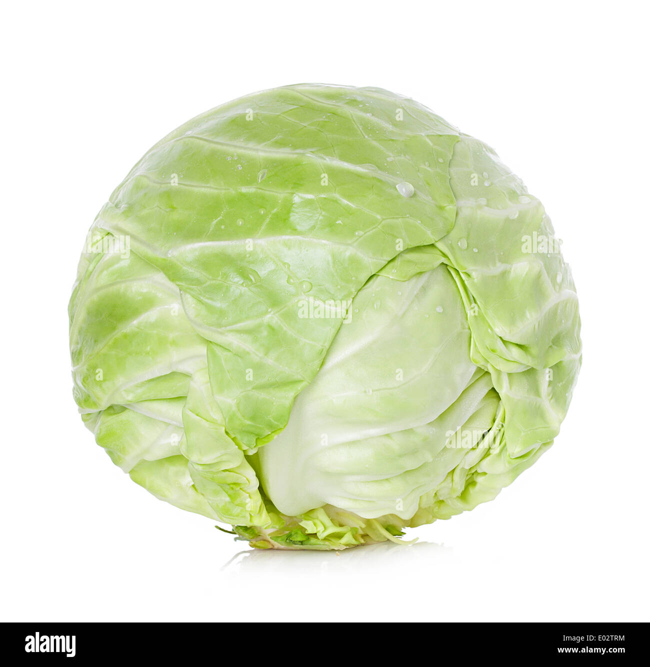 cabbage close-up isolated on white background Stock Photo - Alamy