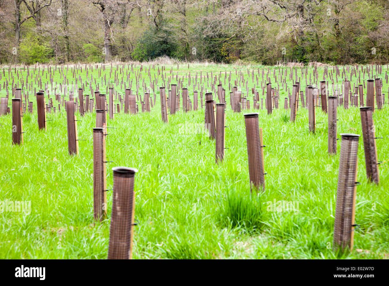 Tree guards hi-res stock photography and images - Alamy