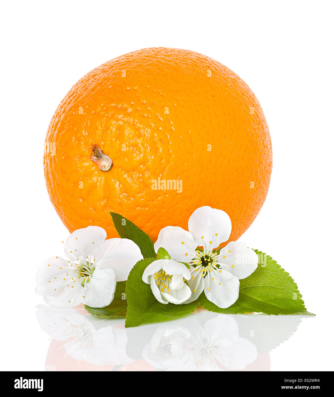 Orange Fruit Flowers