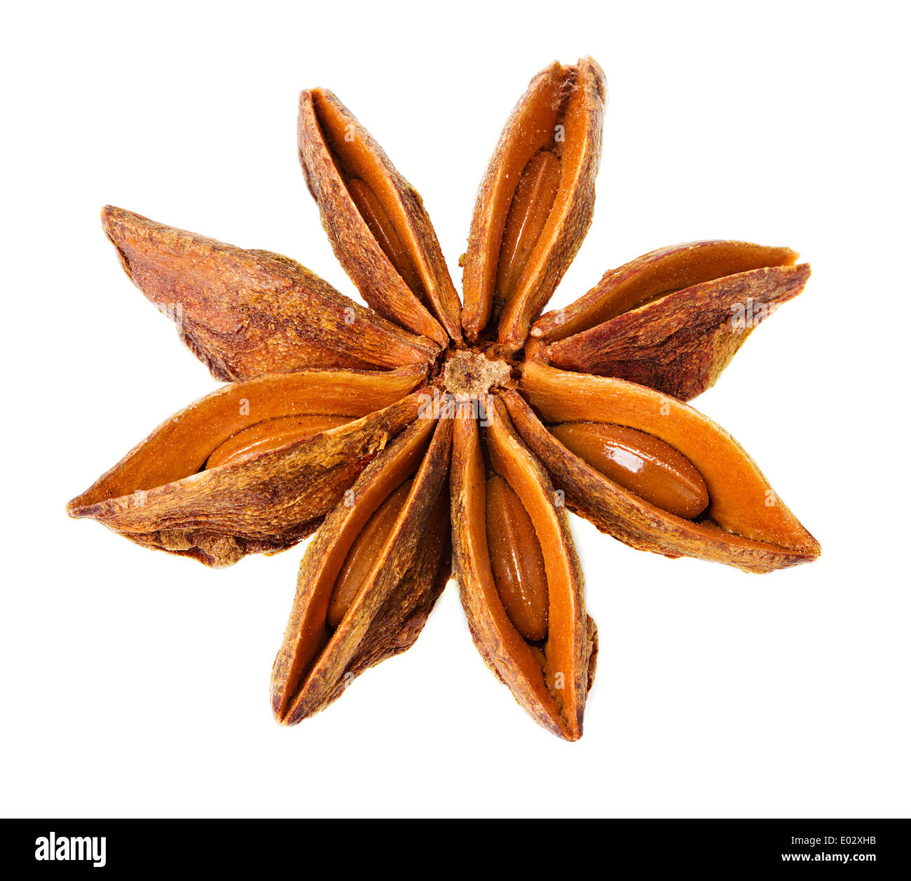 a single star anise isolated on white Stock Photo - Alamy