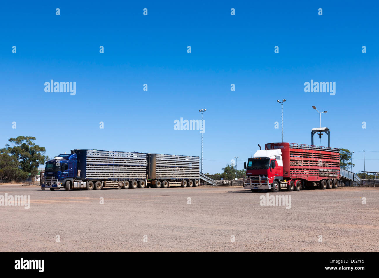 Katanning Saleyard Complex, the largest sheep selling centre in Western ...
