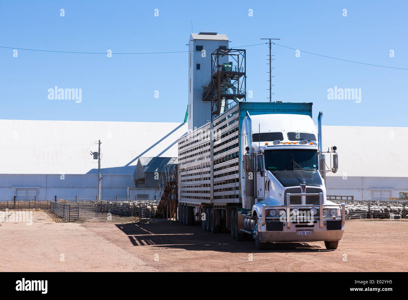Katanning Saleyard Complex, the largest sheep selling centre in Western ...