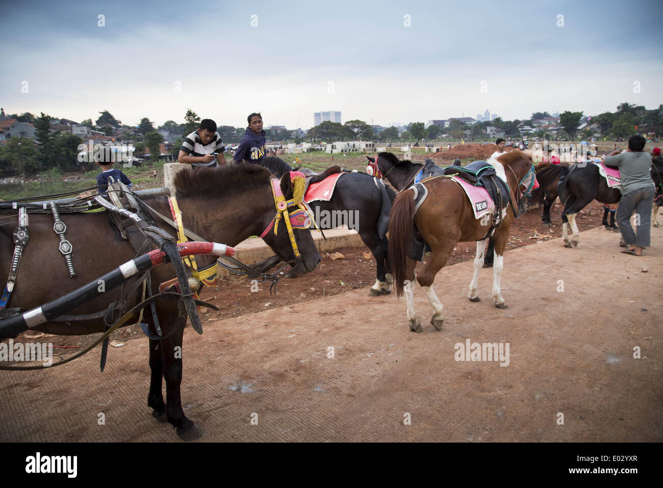 Kusir hi-res stock photography and images - Alamy
