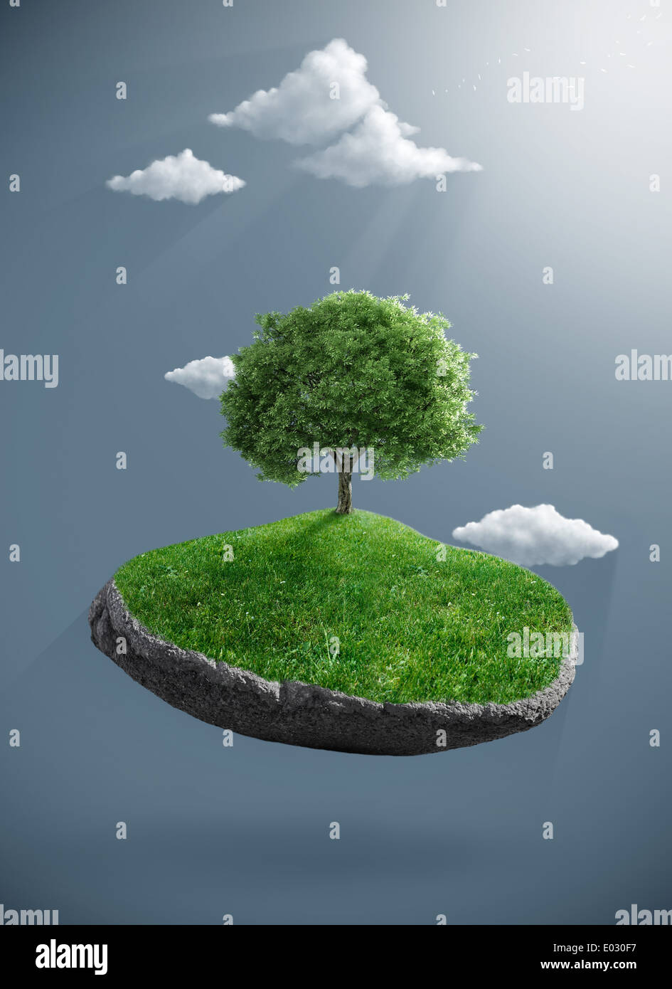 Born tree hi-res stock photography and images - Alamy