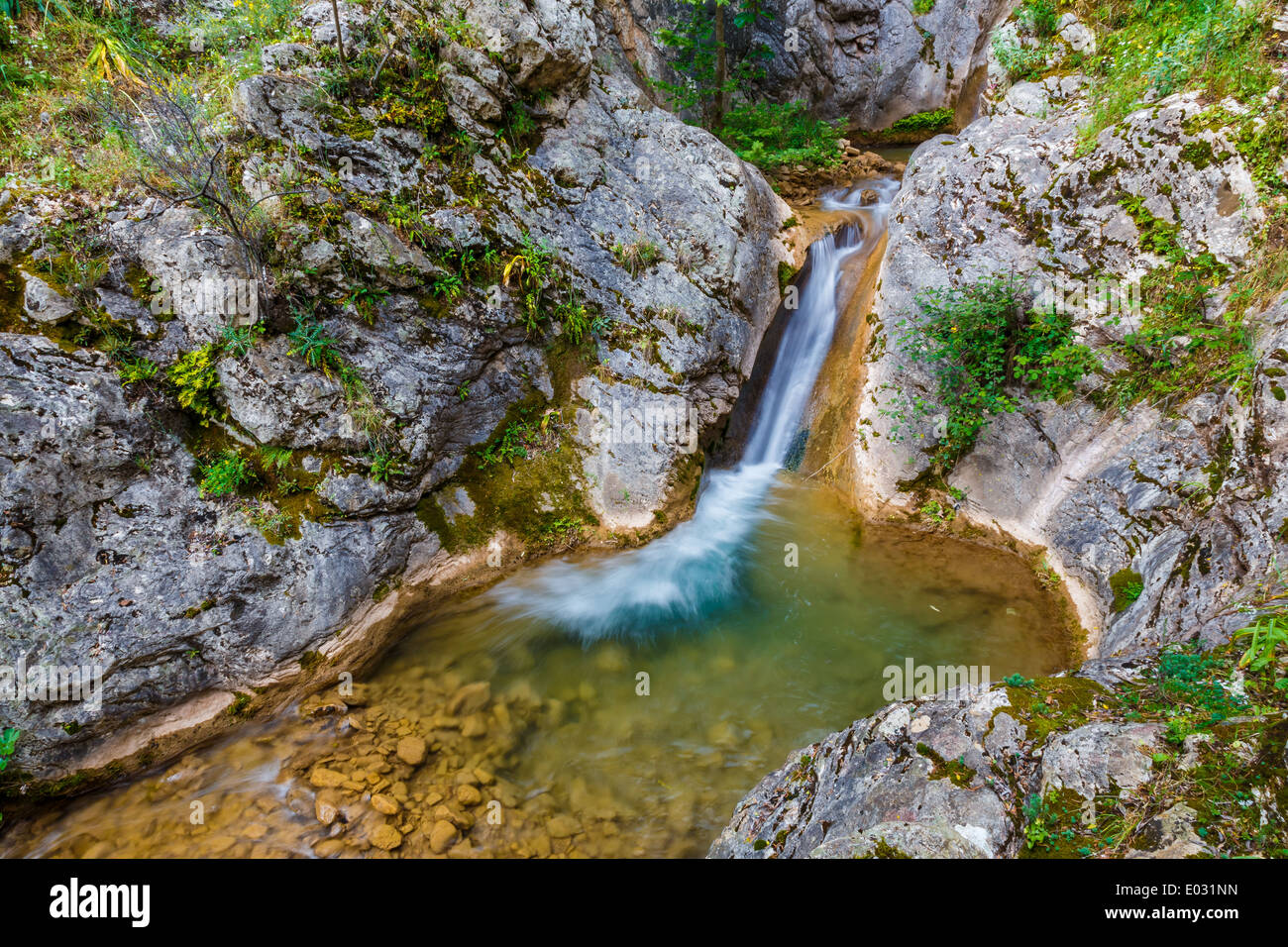 Small waterfall deep in rain forest, shot in long exposure Stock Photo ...