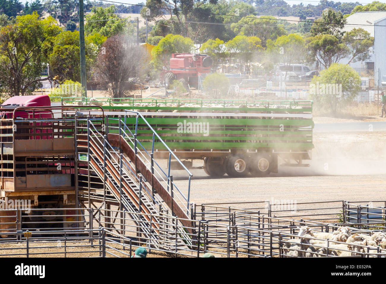 Sheep in lorry hi-res stock photography and images - Alamy