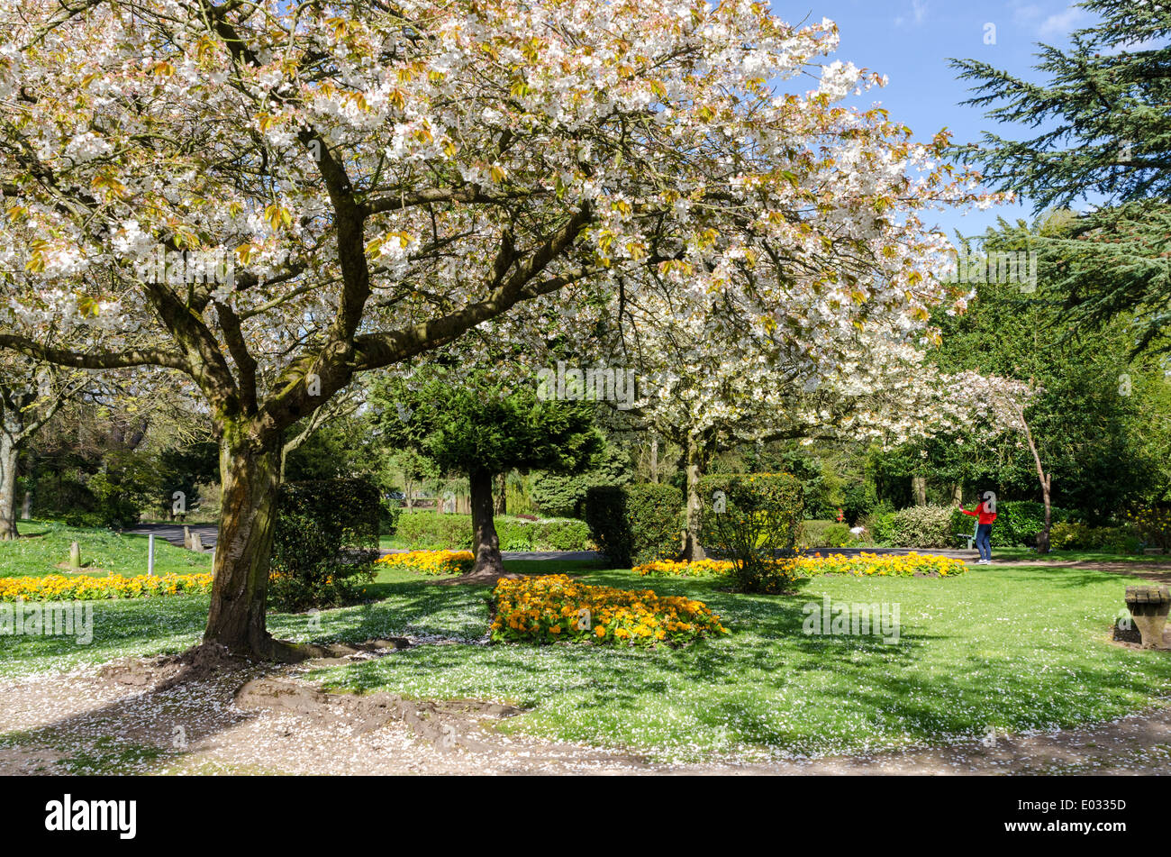 Grove centre hi-res stock photography and images - Alamy