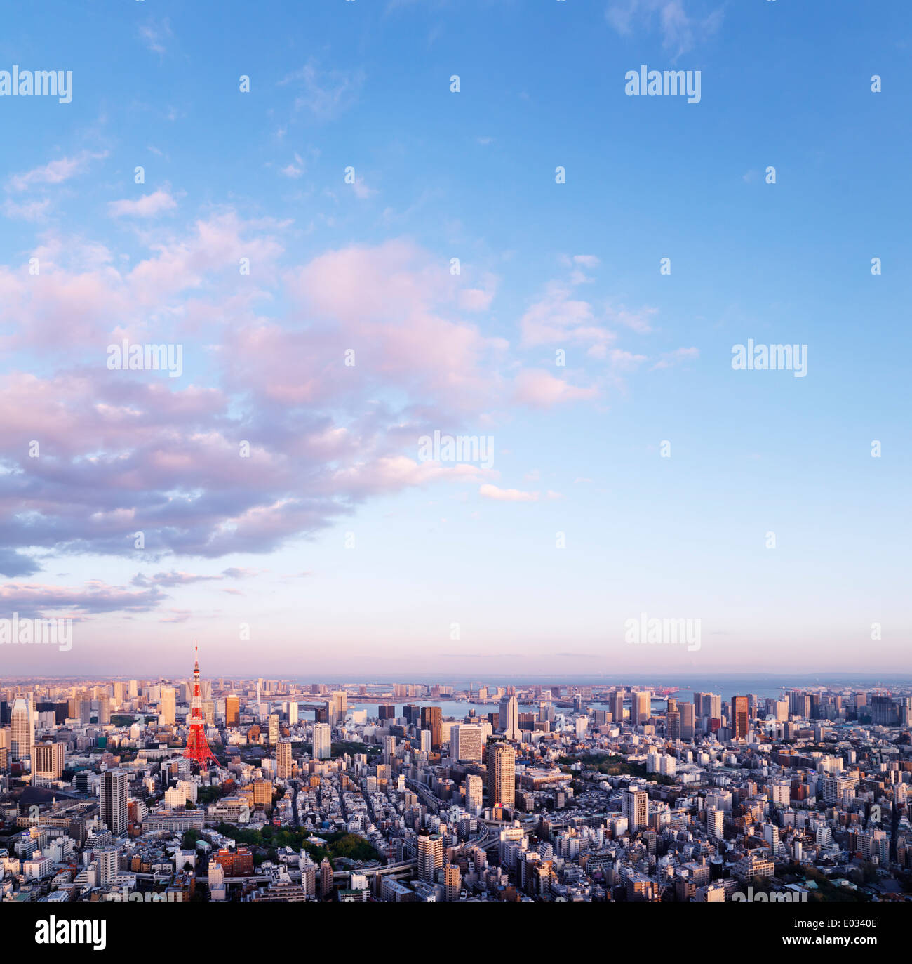 Tokyo city landscape and Tokyo tower under blue sky. Sunset scenery ...