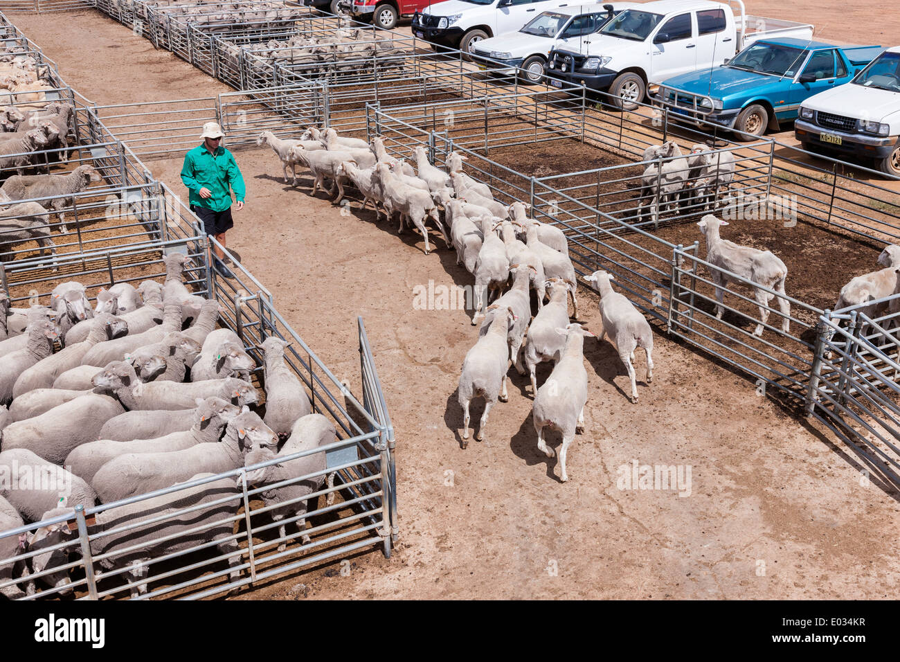 Katanning Saleyard Complex, the largest sheep selling centre in Western ...