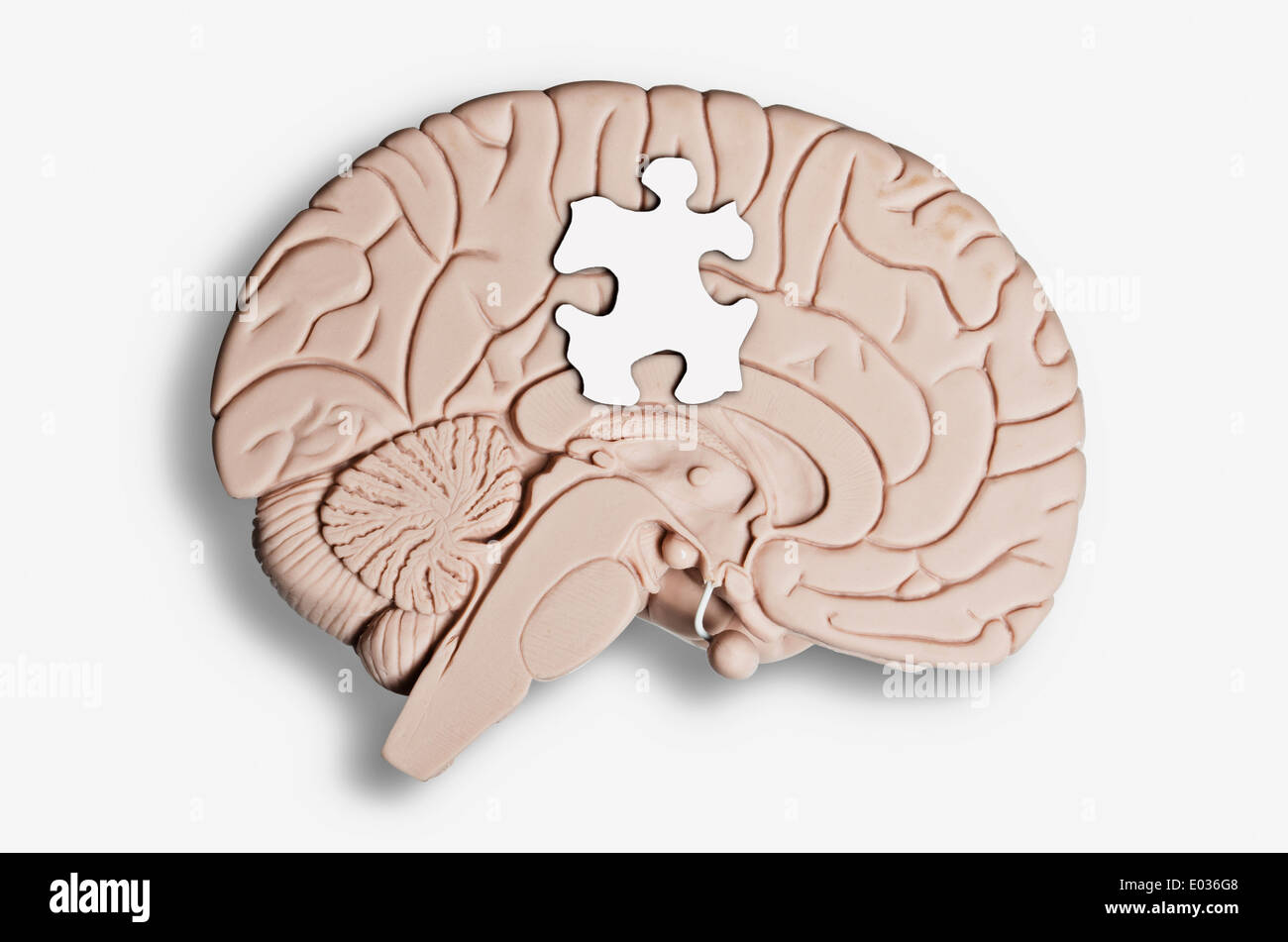 Puzzle piece brain hi-res stock photography and images - Alamy