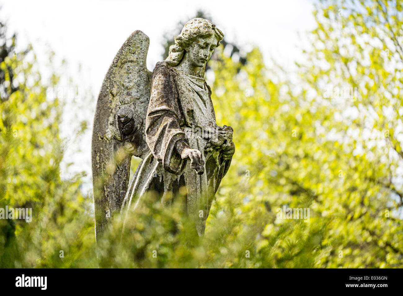 Angel spring hi-res stock photography and images - Alamy