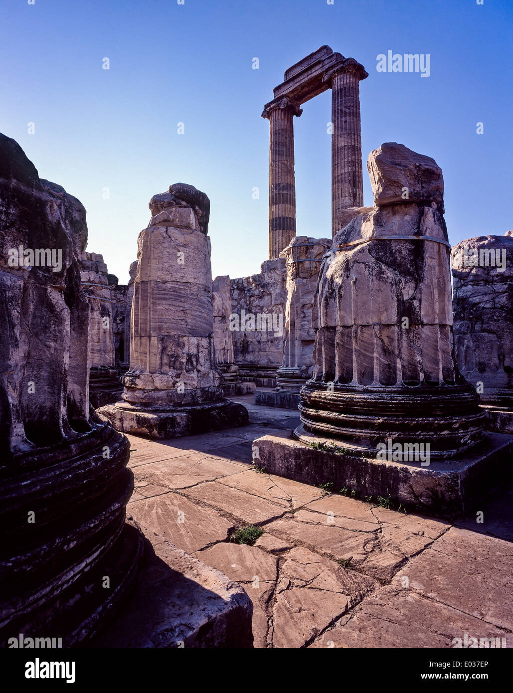 the Temple of Apollo at ancient Didyma Turkey Stock Photo - Alamy