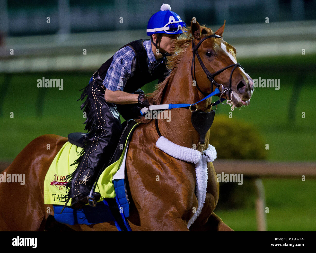 Tapiture Most Popular Photos