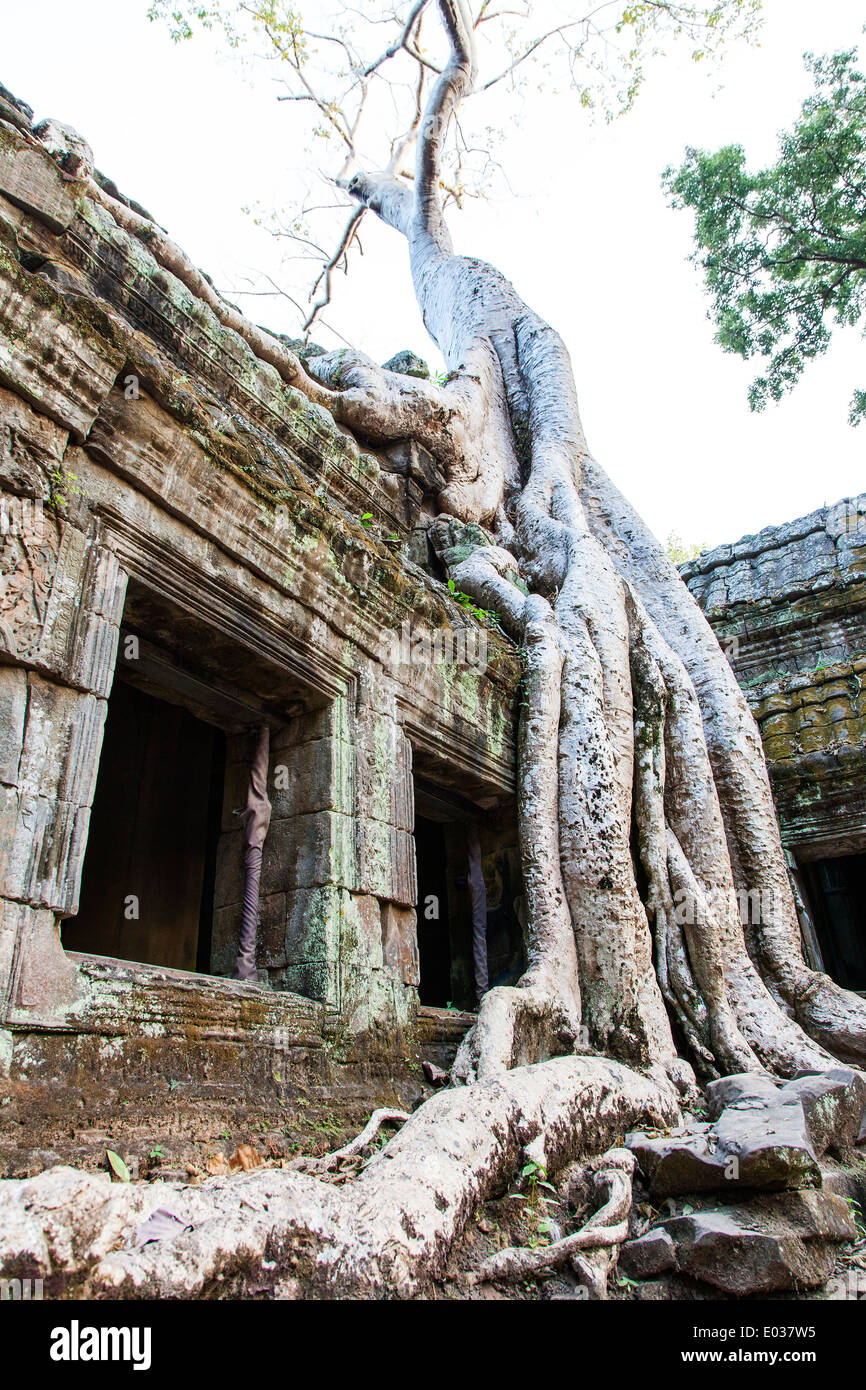 Khmer angkorian jungle temple hi-res stock photography and images - Alamy