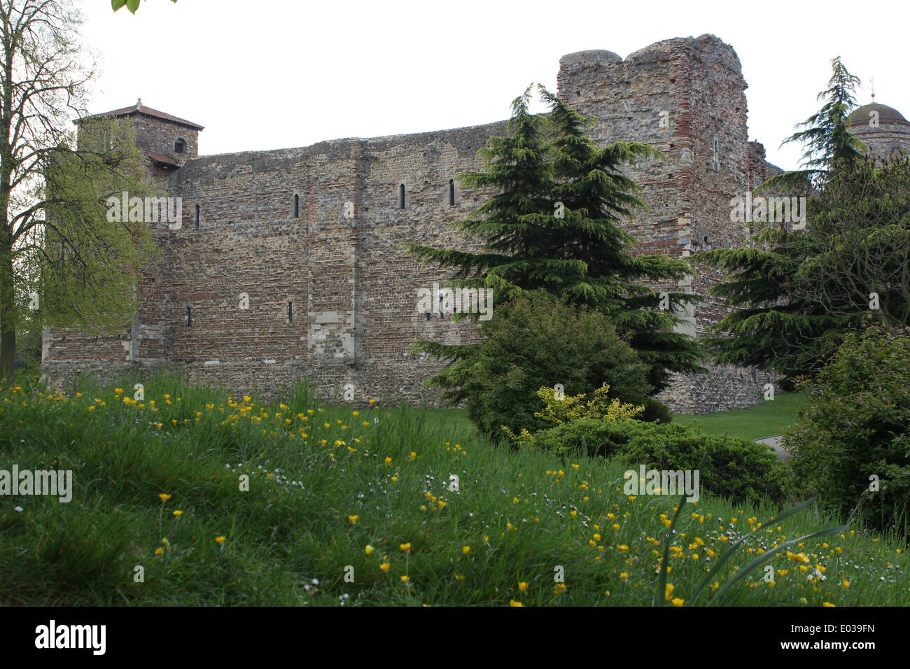 Colchester Castle in Colchester Essex Stock Photo - Alamy