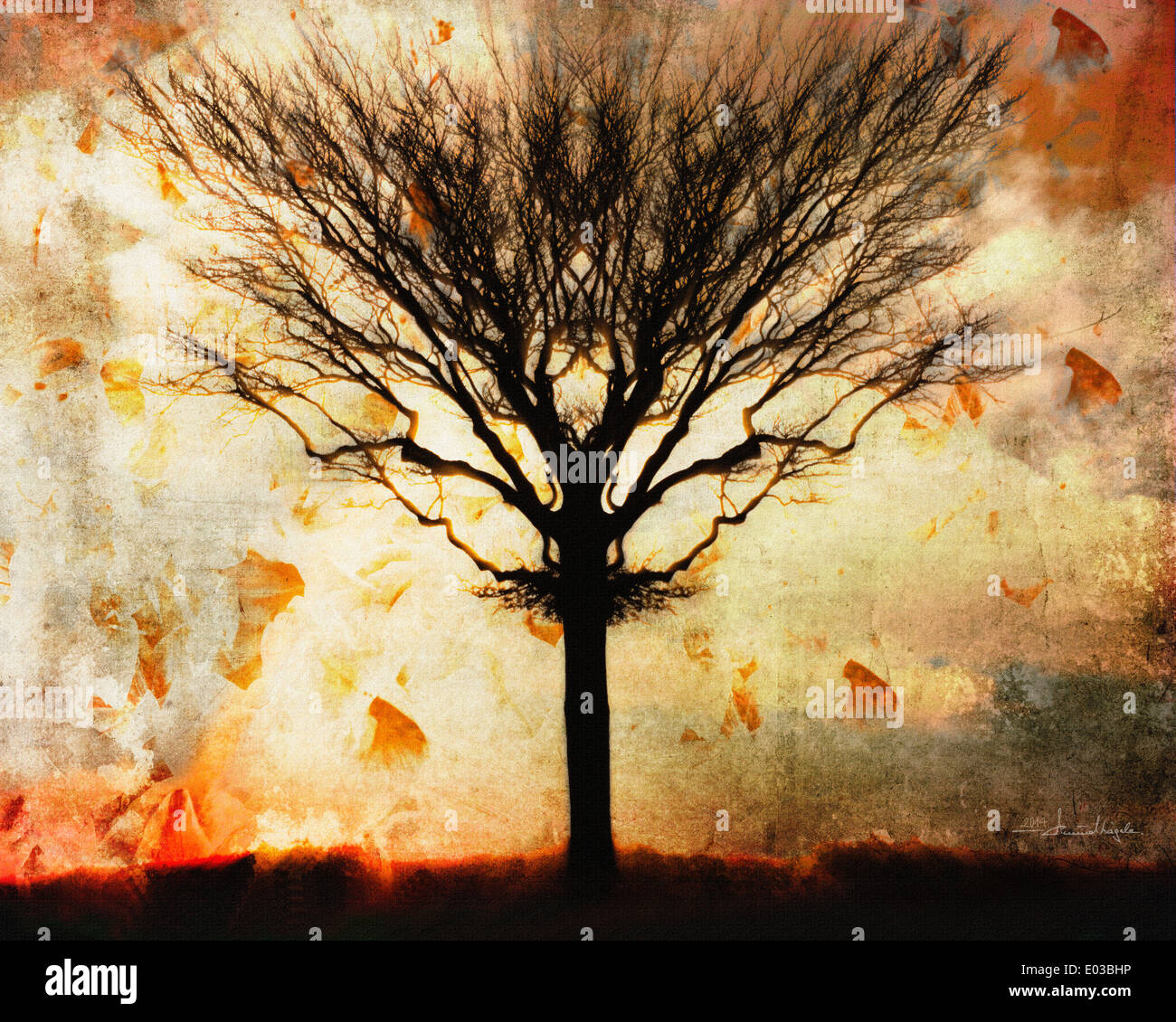 Autumn Leaves Blowing High Resolution Stock Photography and Images - Alamy