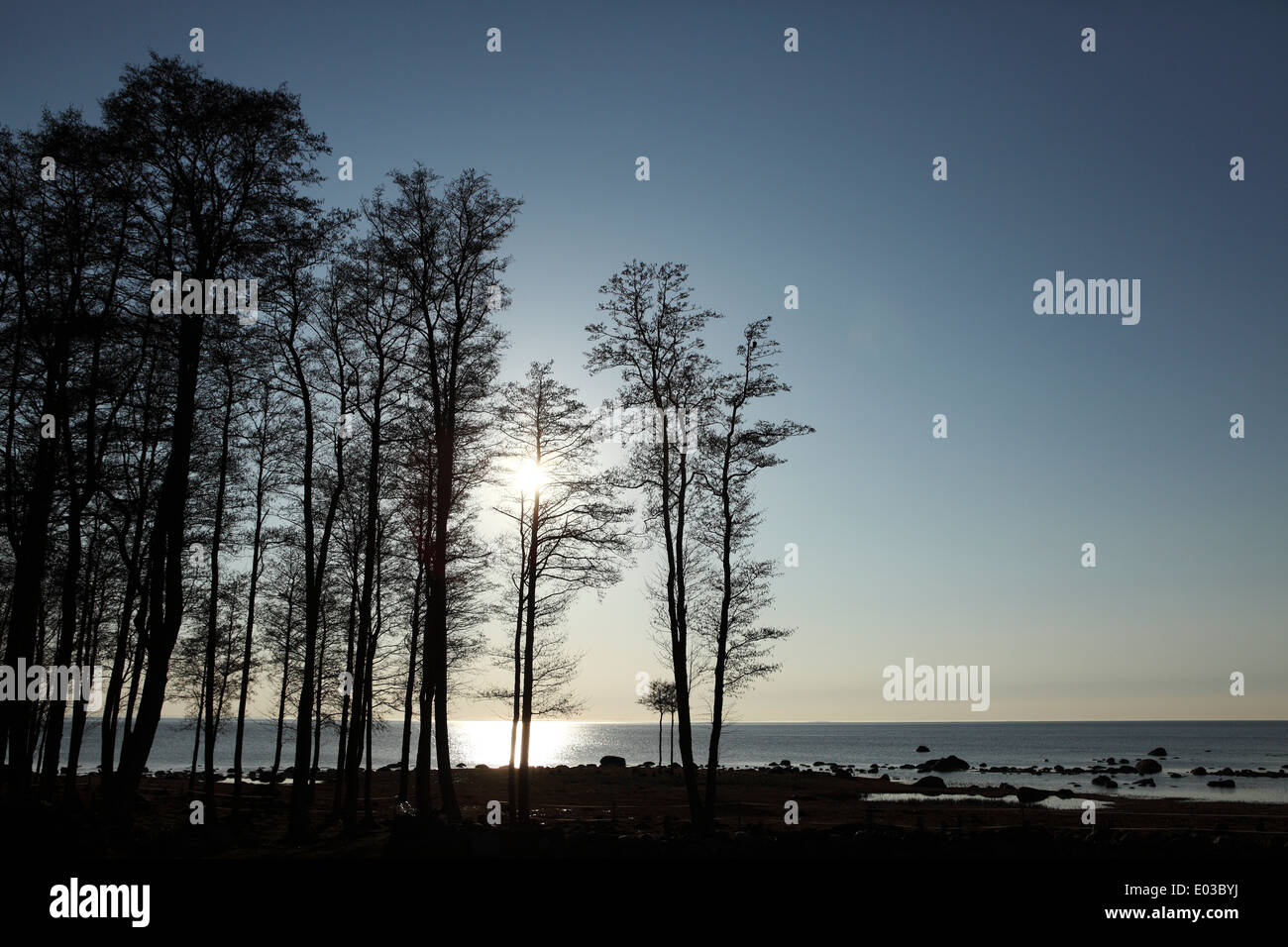 Baltic peninsula hi-res stock photography and images - Alamy