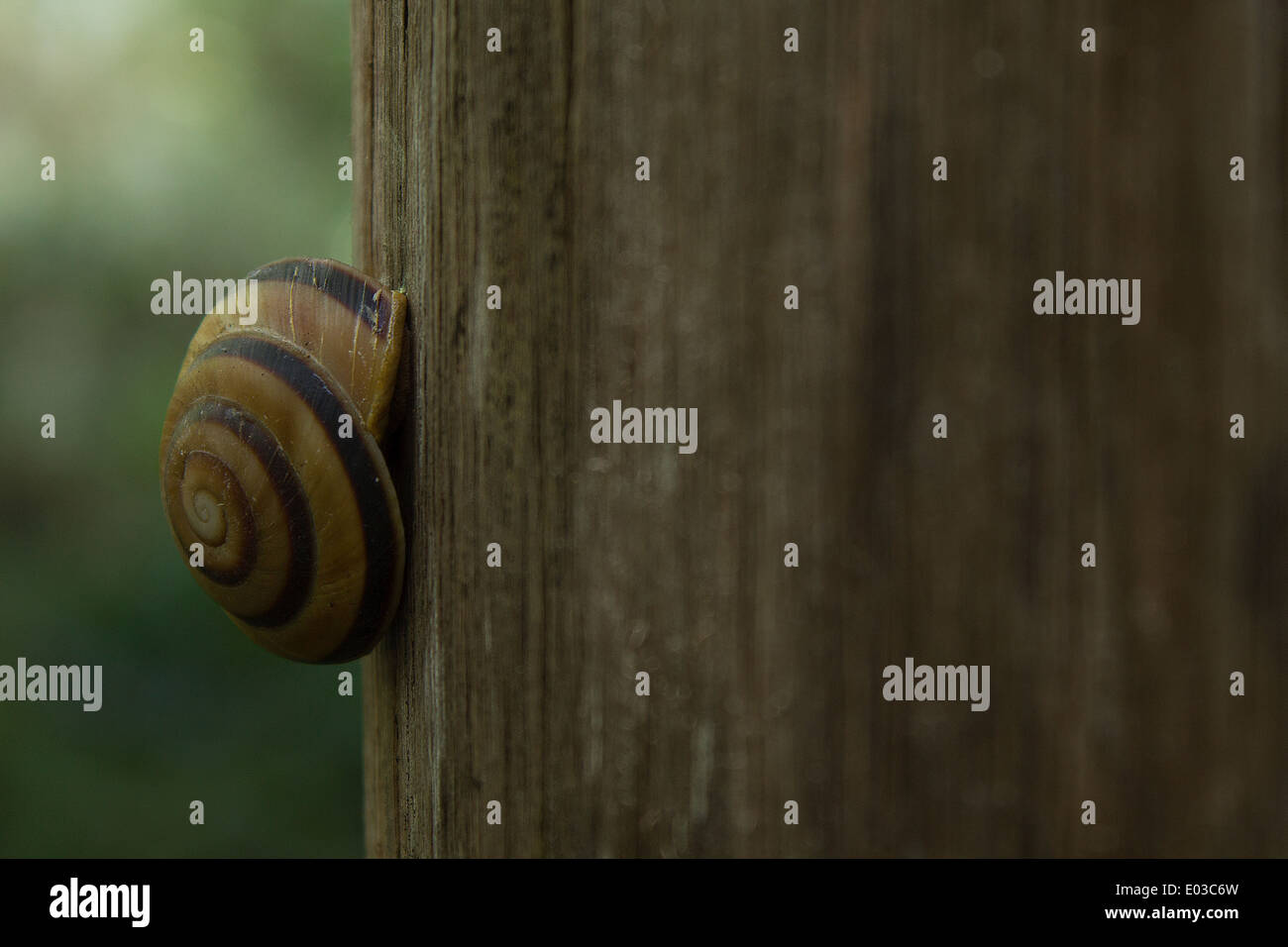 Hidden beautiful hi-res stock photography and images - Alamy