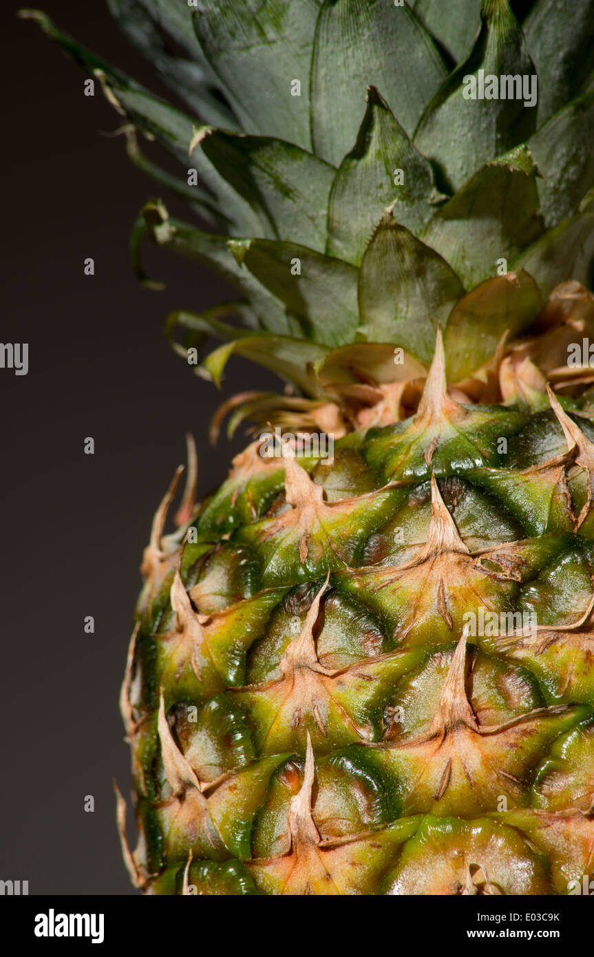 Close up picture of a pineapple Stock Photo - Alamy