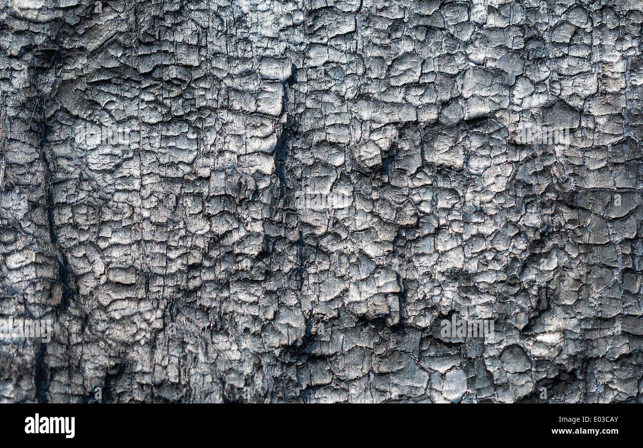 Scorched woods hi-res stock photography and images - Alamy
