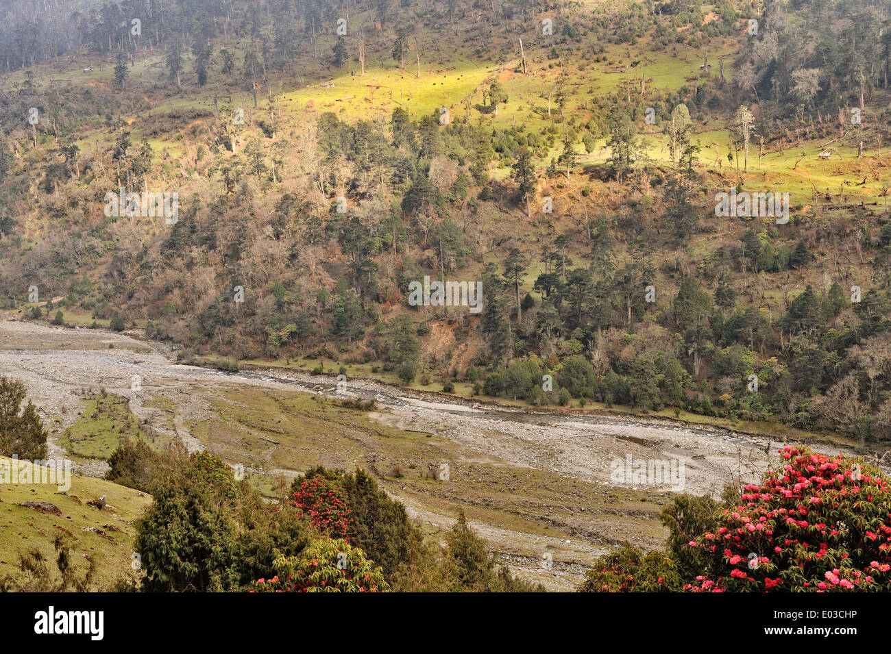 Himalayan landscape on Merak Sakteng trek, Eastern Bhutan Stock Photo ...