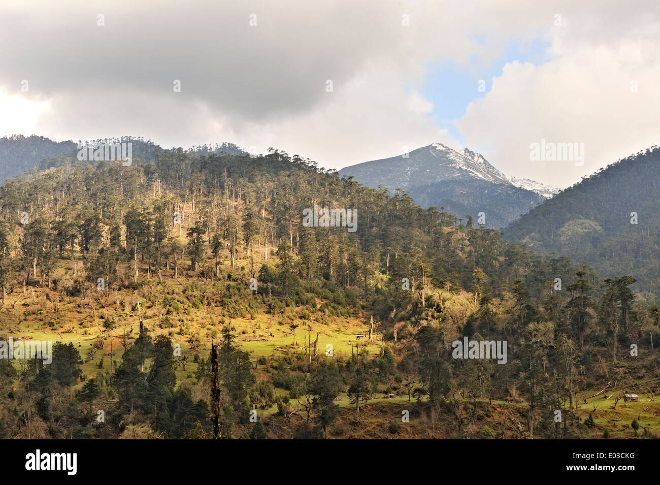Himalayan landscape on Merak Sakteng trek, Eastern Bhutan Stock Photo ...