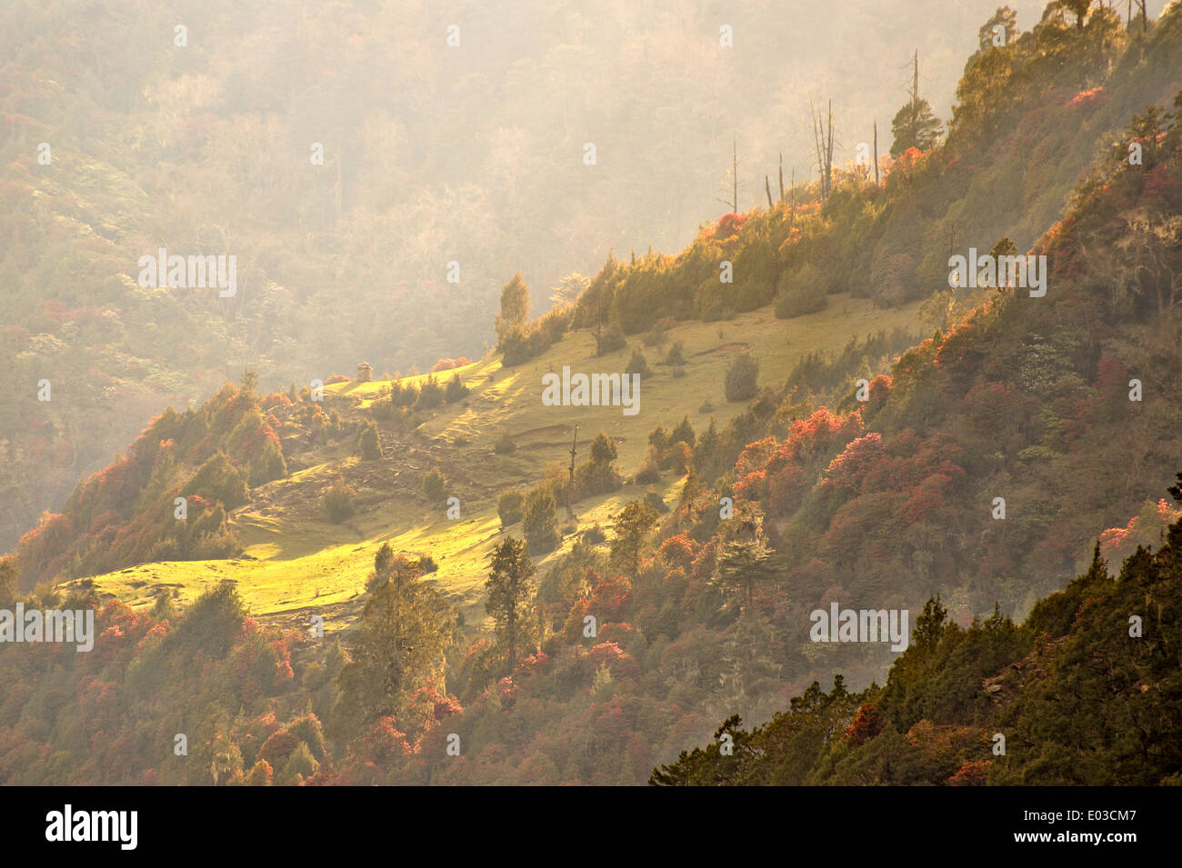 Himalayan landscape on Merak Sakteng trek, Eastern Bhutan Stock Photo ...
