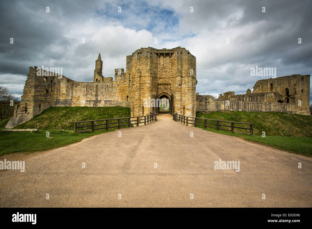 Warkworth castle northumberland daffodils hi-res stock photography and ...