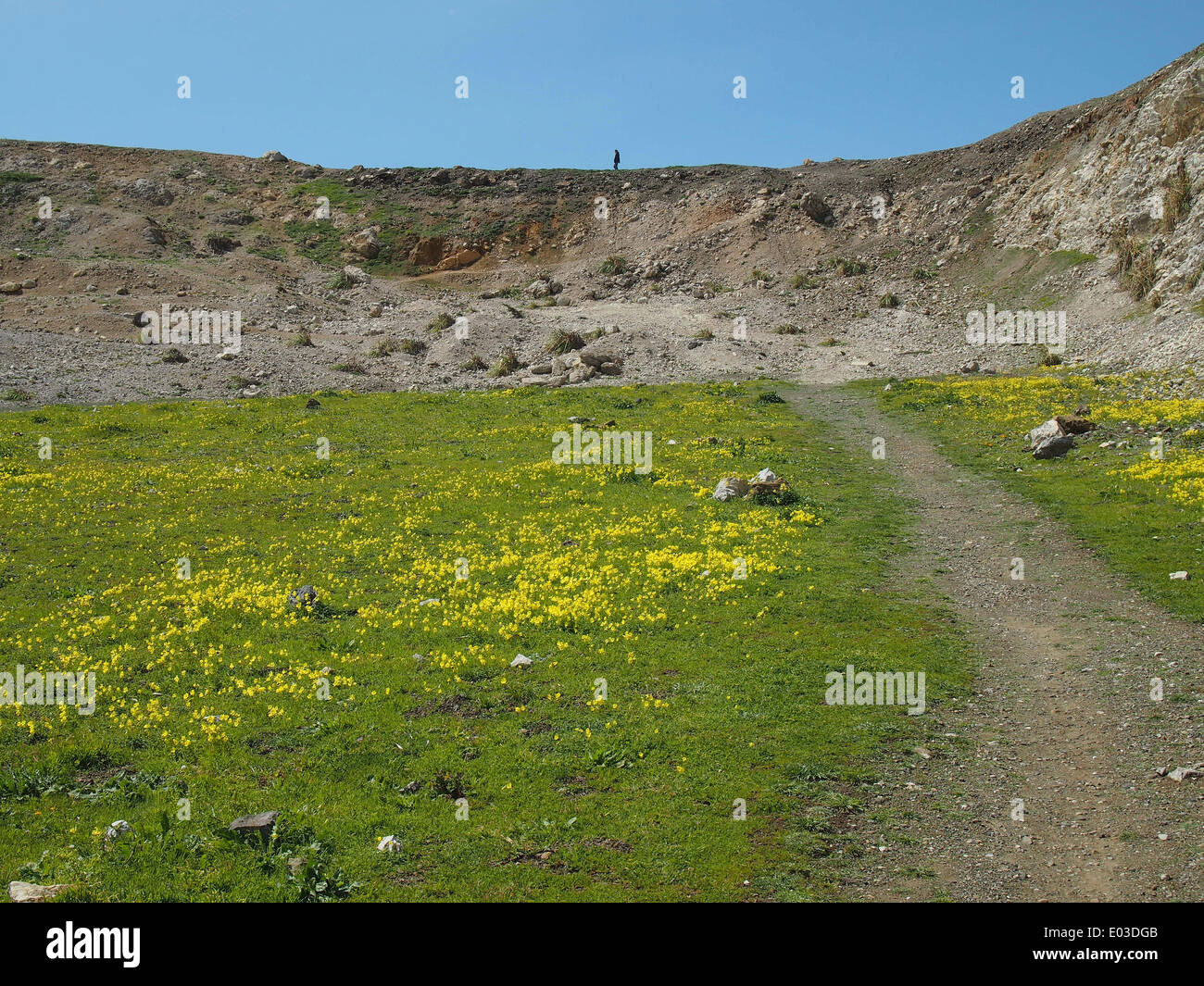 Coastal california flowers hi-res stock photography and images - Alamy