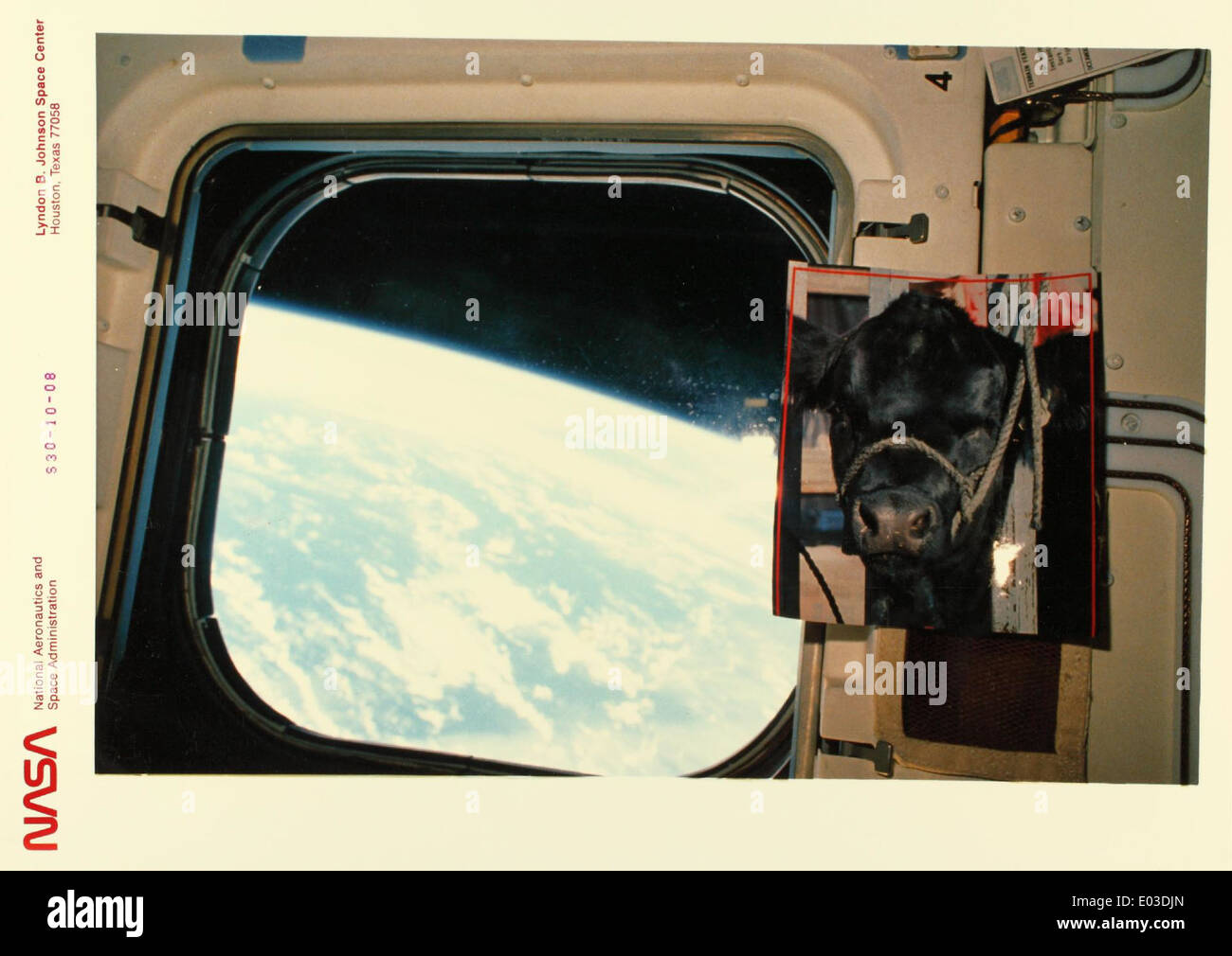 This glossy photo from NASA showcases the Space Shuttle Program, which ...