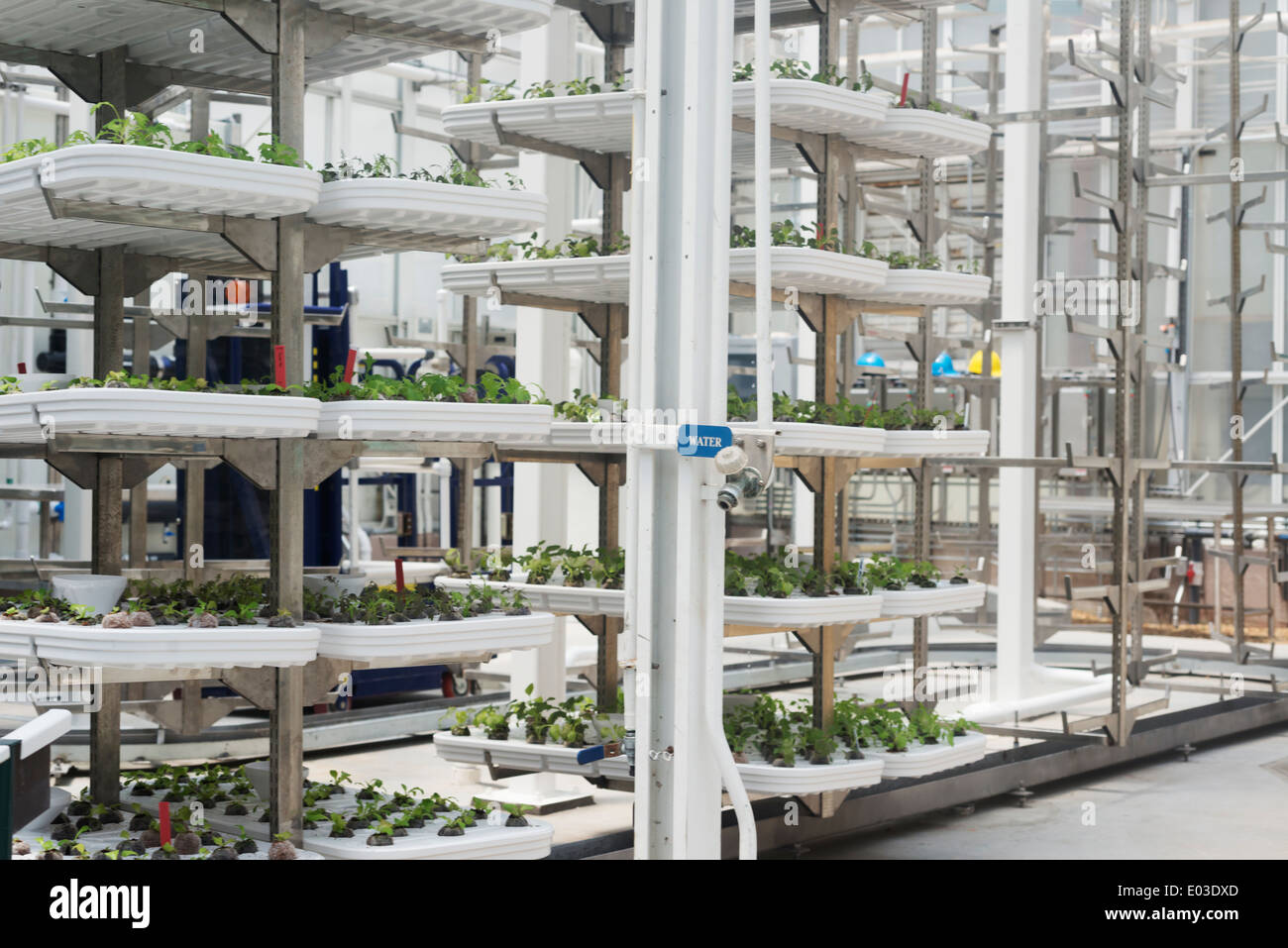 Hydroponics hi-res stock photography and images - Alamy