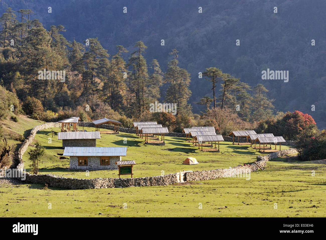 Campsite on Merak Sakteng trek, Eastern Bhutan Stock Photo - Alamy