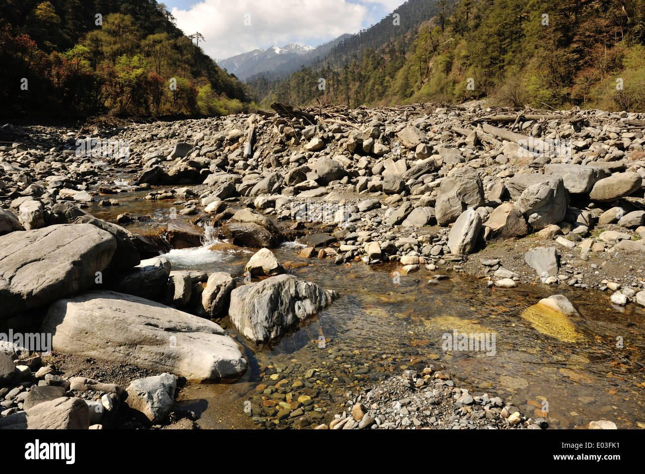 Himalayan landscape on Merak Sakteng trek, Eastern Bhutan Stock Photo ...