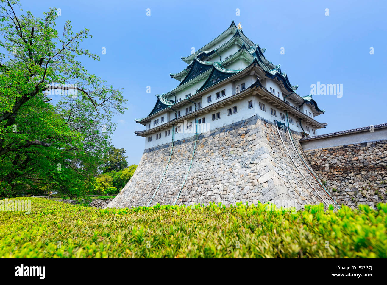Nagoya castle atop with golden tiger fish head pair called "King Cha ...