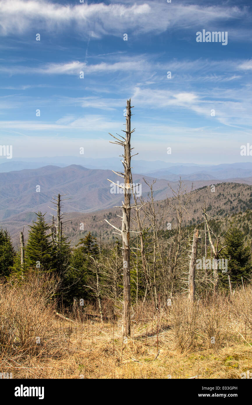 Clingman’s dome hi-res stock photography and images - Alamy