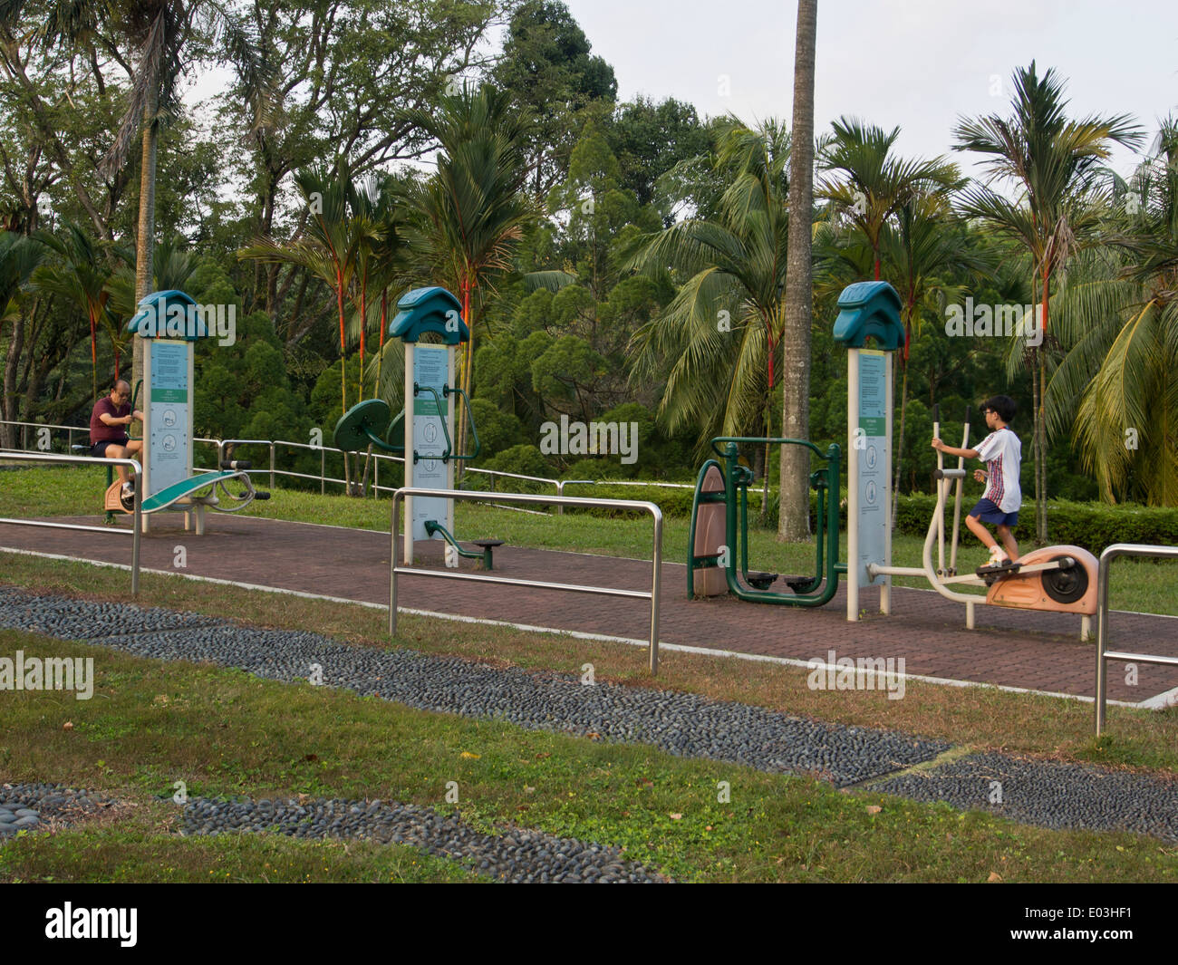 People exercise in public park in Singapore Stock Photo - Alamy