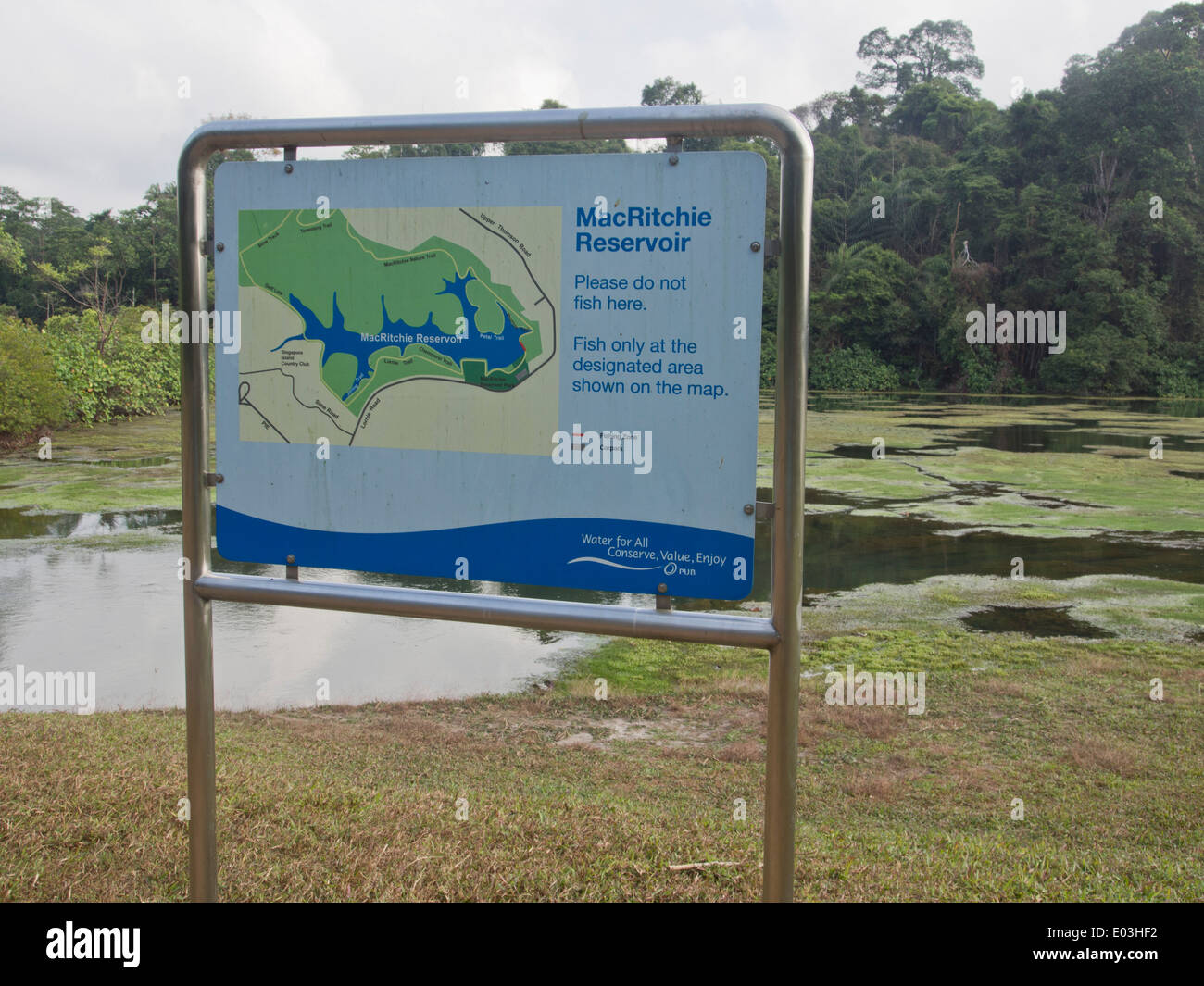 MacRitchie reservoir in Singapore Stock Photo - Alamy