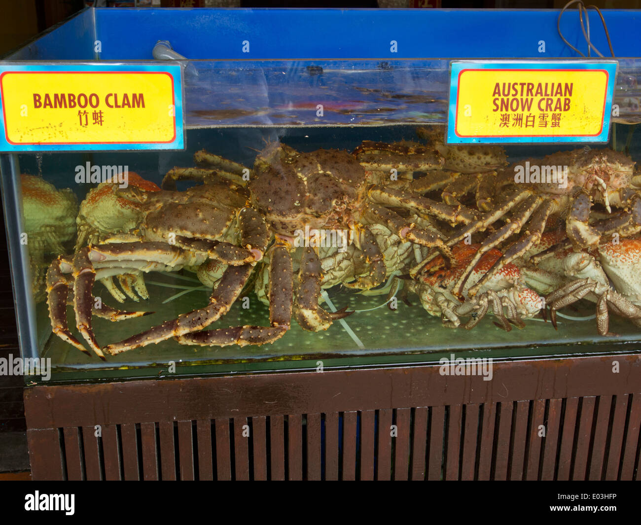 Crabs at a tank in a restaurant in Singapore Stock Photo - Alamy