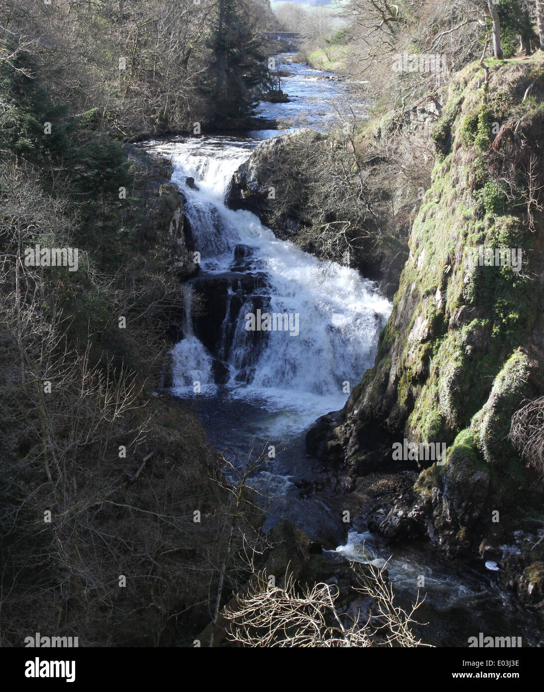Reekie linn waterfall hi-res stock photography and images - Alamy