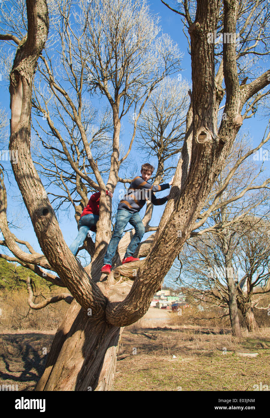 Teenager climbing a tree hi-res stock photography and images - Alamy