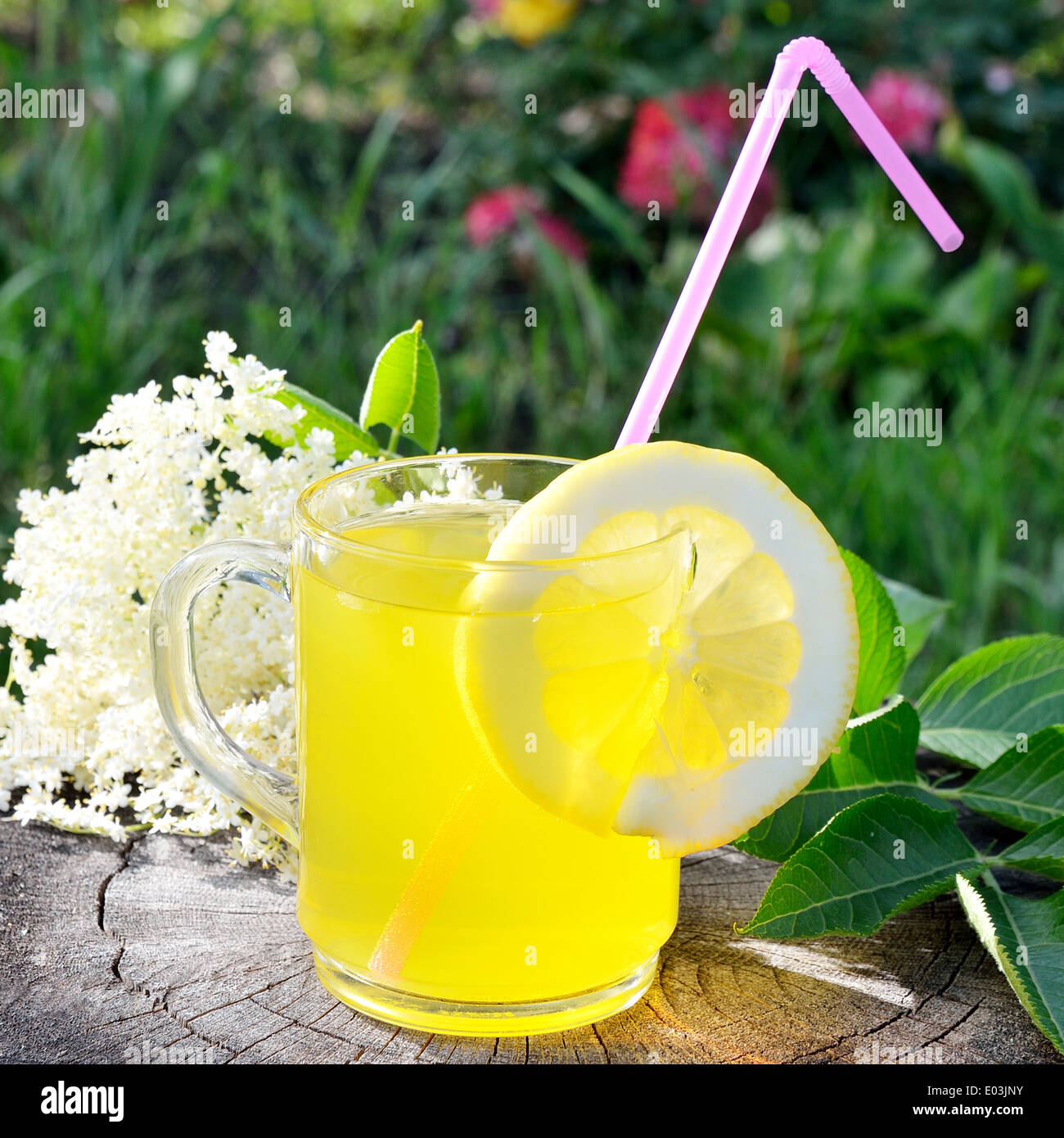 Elderflower tea hi-res stock photography and images - Alamy